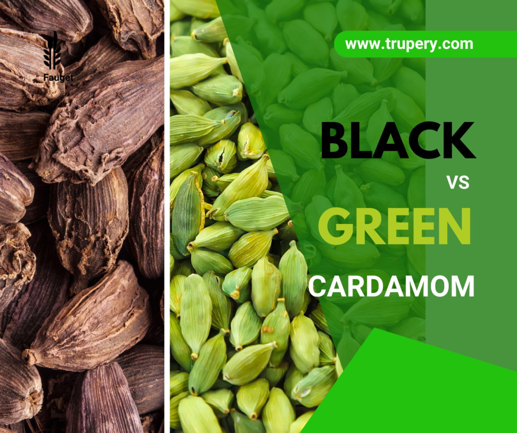Green Cardamom vs Black Cardamom : What is difference between Choti ...